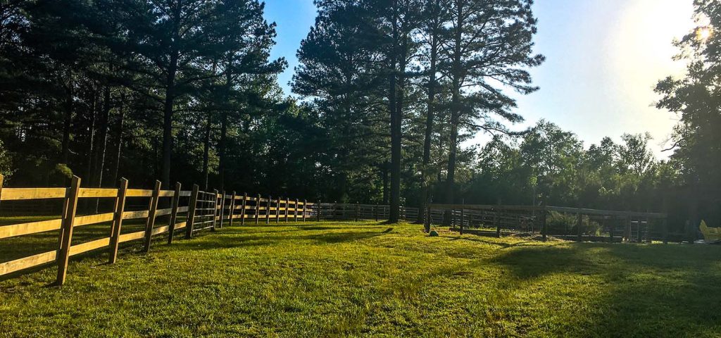 Charming Farm Stays Near Durham: A Rural Retreat – Budget Hotels